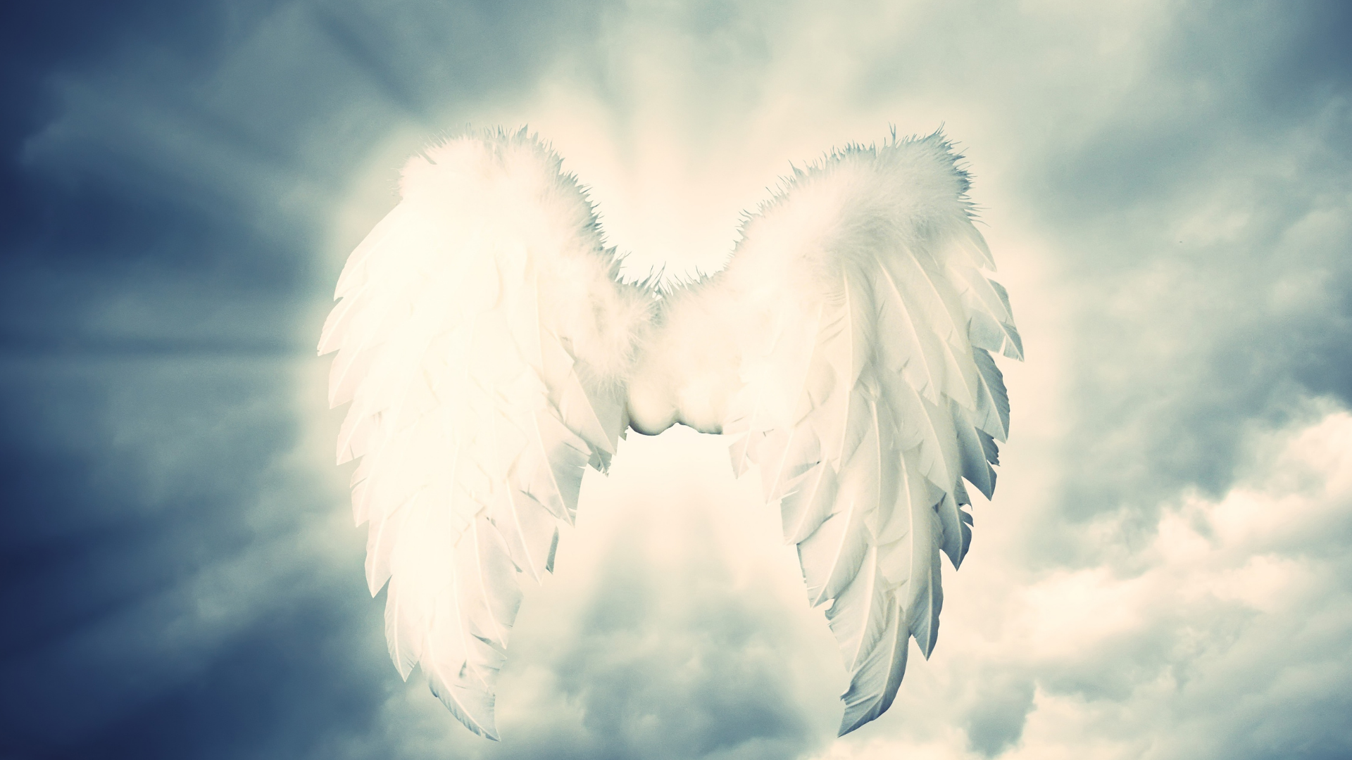 Divine Intervention | BONNIE WIRTH