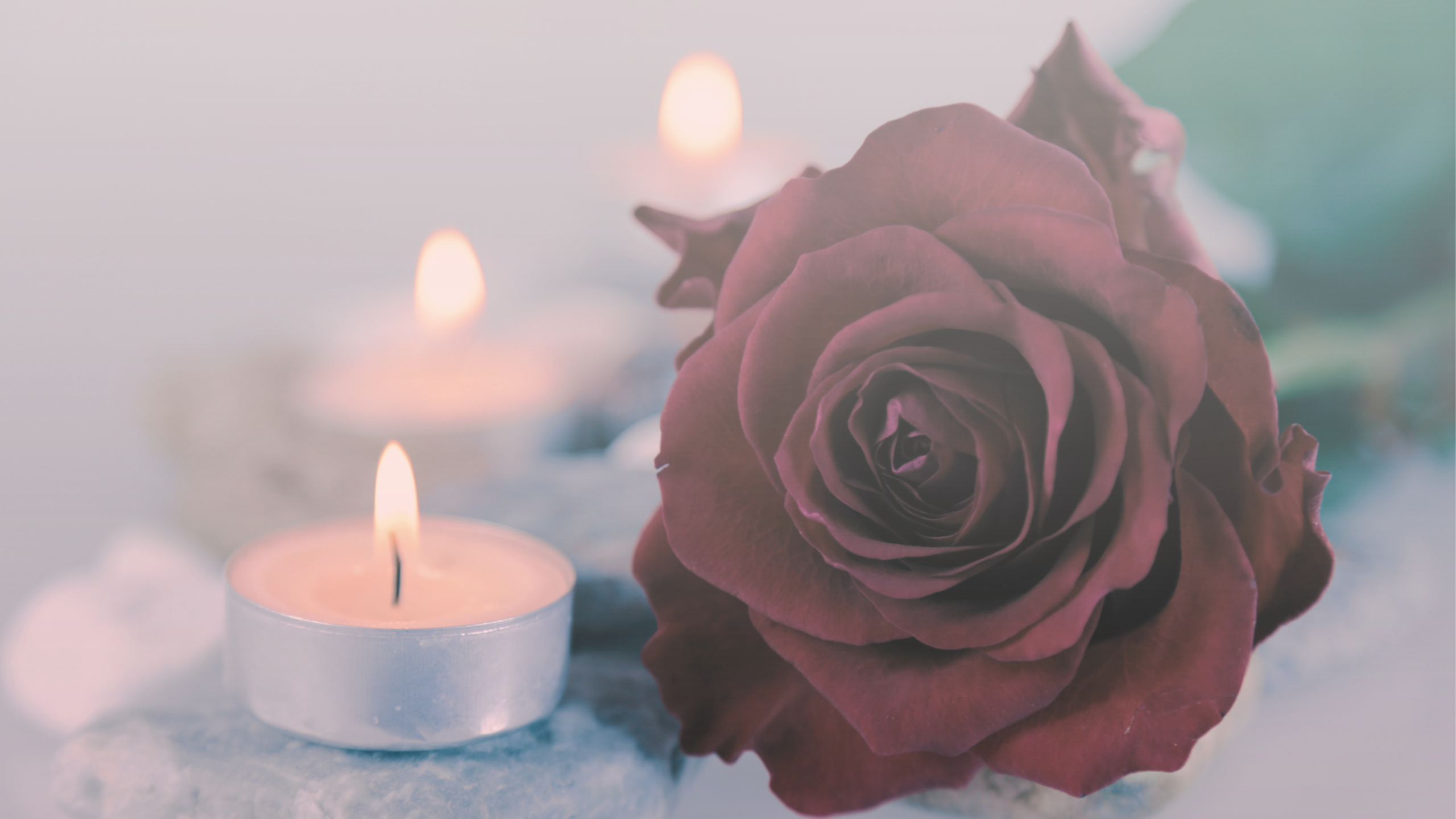 Navigating Grief During The Holidays Bonnie Wirth