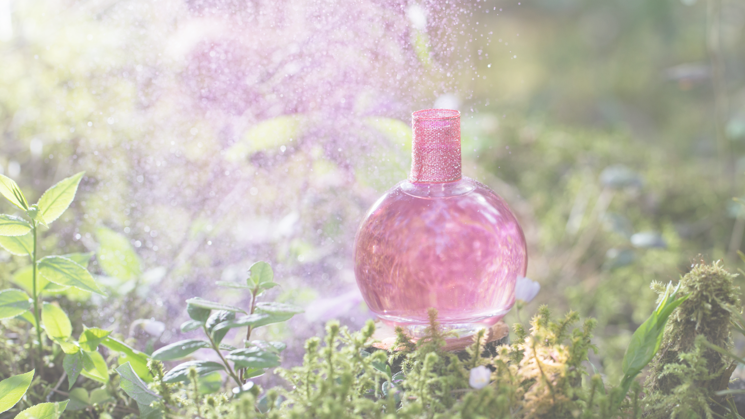 Alchemizing the Past and Shifting Reality | BONNIE WIRTH